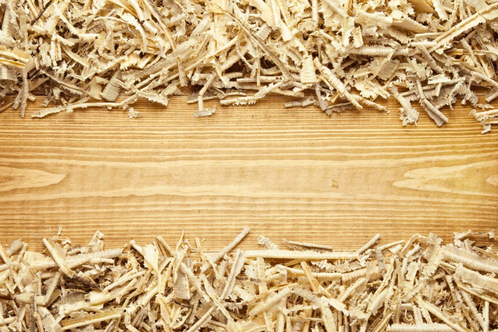 La solución está en el serrín – KISS FM