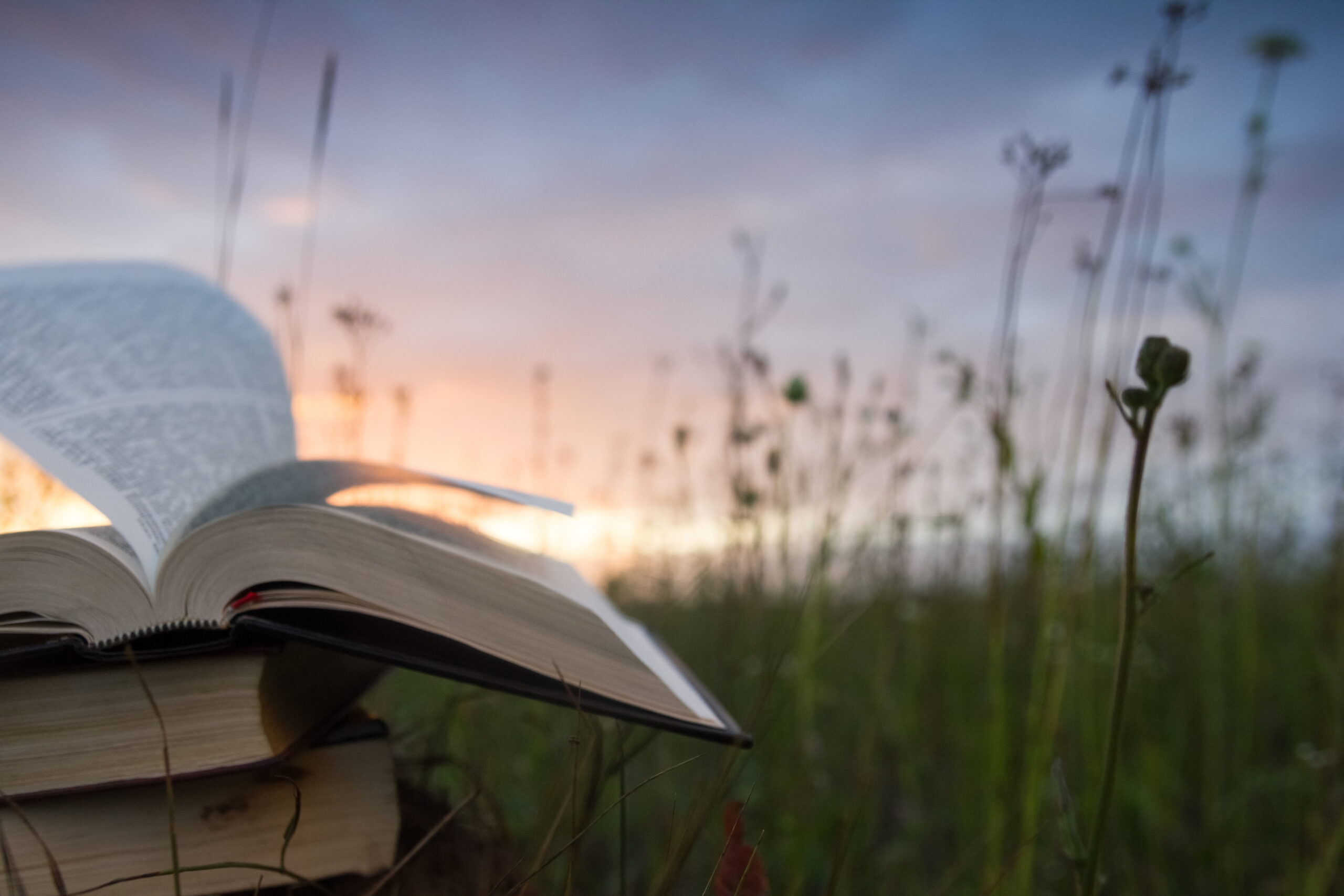 Triunfan los libros sobre temas ecológicos y sostenibles – KISS FM