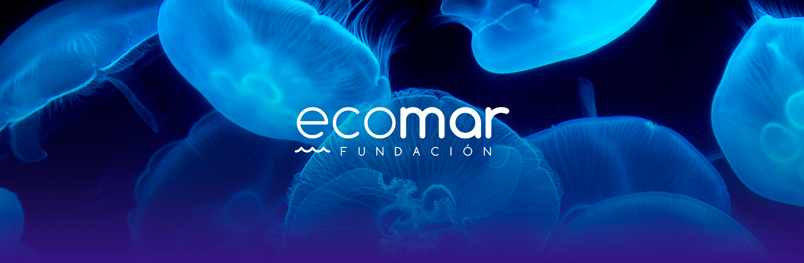 Ecomar, 25 años cuidando los mares – KISS FM